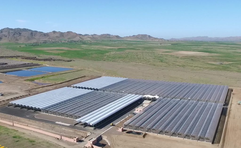 Solar Drying – Nova Industries